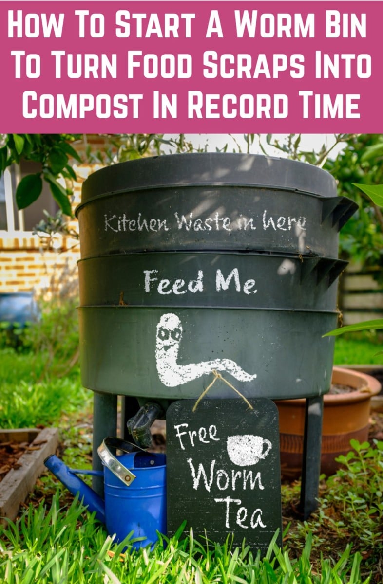 Vermicomposting – How To Start Your Own Worm Bin