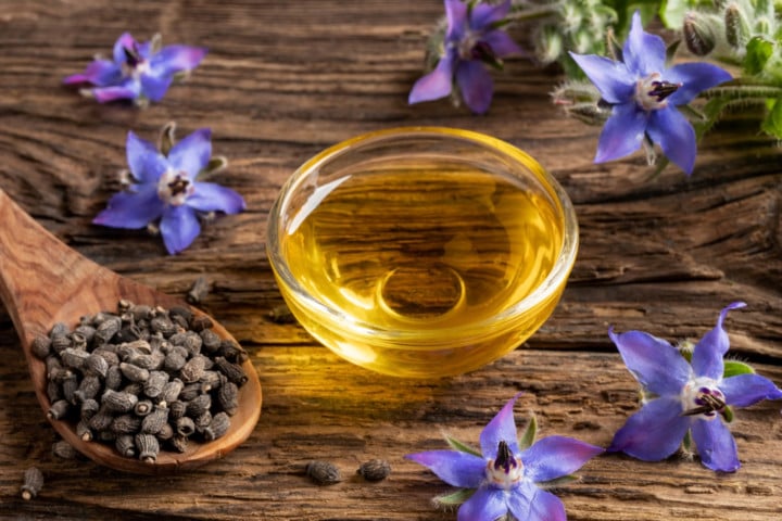 15 Reasons To Grow Borage + Ways To Use It