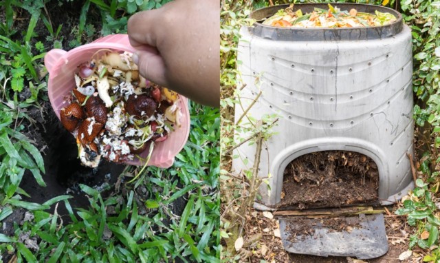 20 Common Composting Mistakes To Avoid