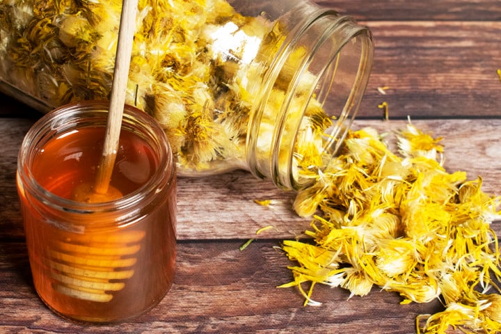 Delightful Dandelion Mead - Two Easy and Delicious Recipes