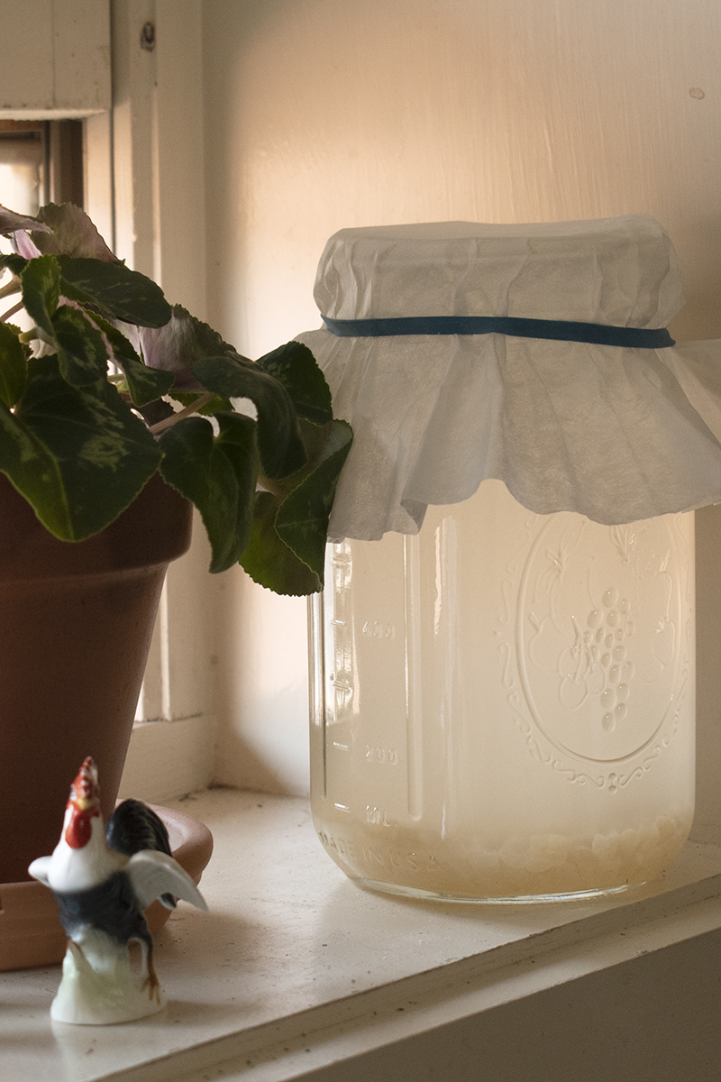 How to Make Refreshing & Healthy Water Kefir