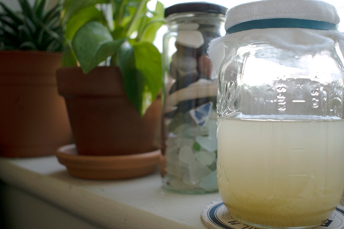 How To Make Homemade Soda With A Ginger Bug