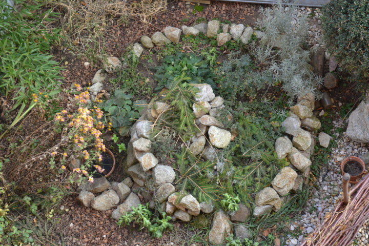Why You Should Start A Mandala Garden and How To Build One