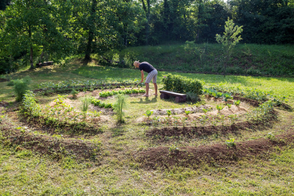 Why You Should Start A Mandala Garden and How To Build One