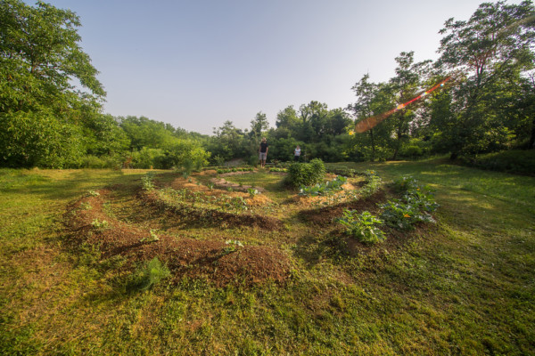 Why You Should Start A Mandala Garden and How To Build One