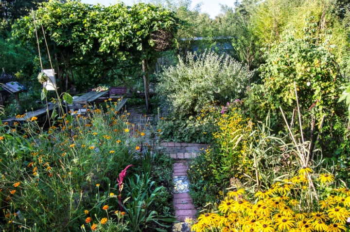 Design a Permaculture Garden: The 12 Principles To Follow