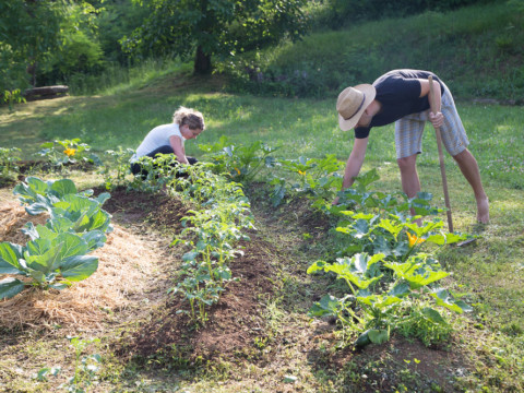 Why You Should Start A Mandala Garden and How To Build One