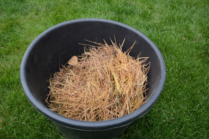 20 Common Composting Mistakes To Avoid