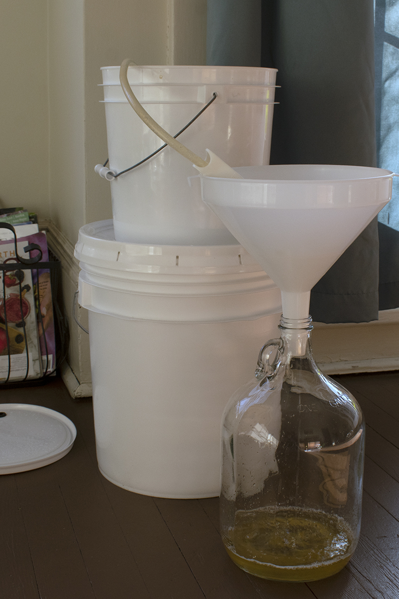 Delightful Dandelion Mead - Two Easy and Delicious Recipes