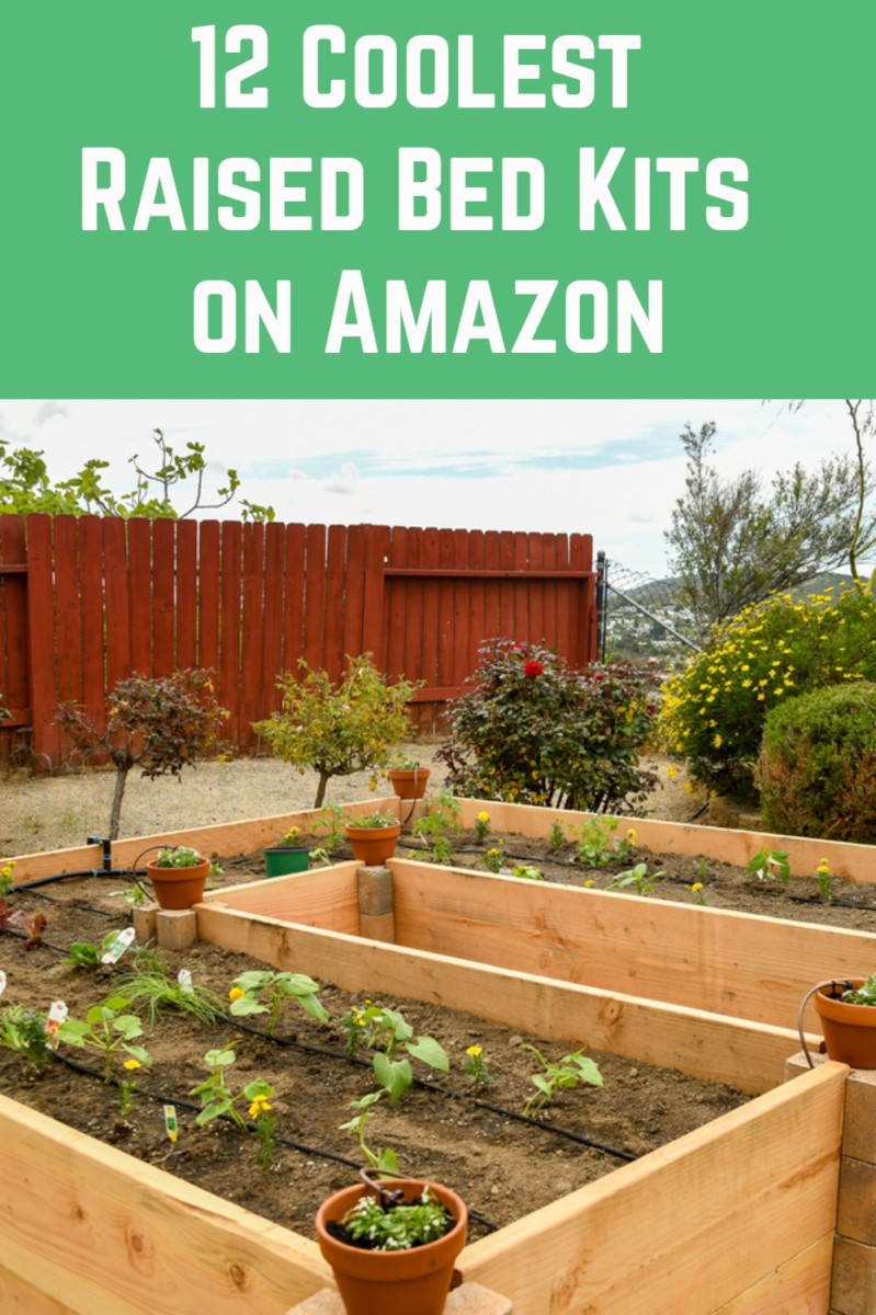 12 Coolest Raised Bed Kits Available on Amazon
