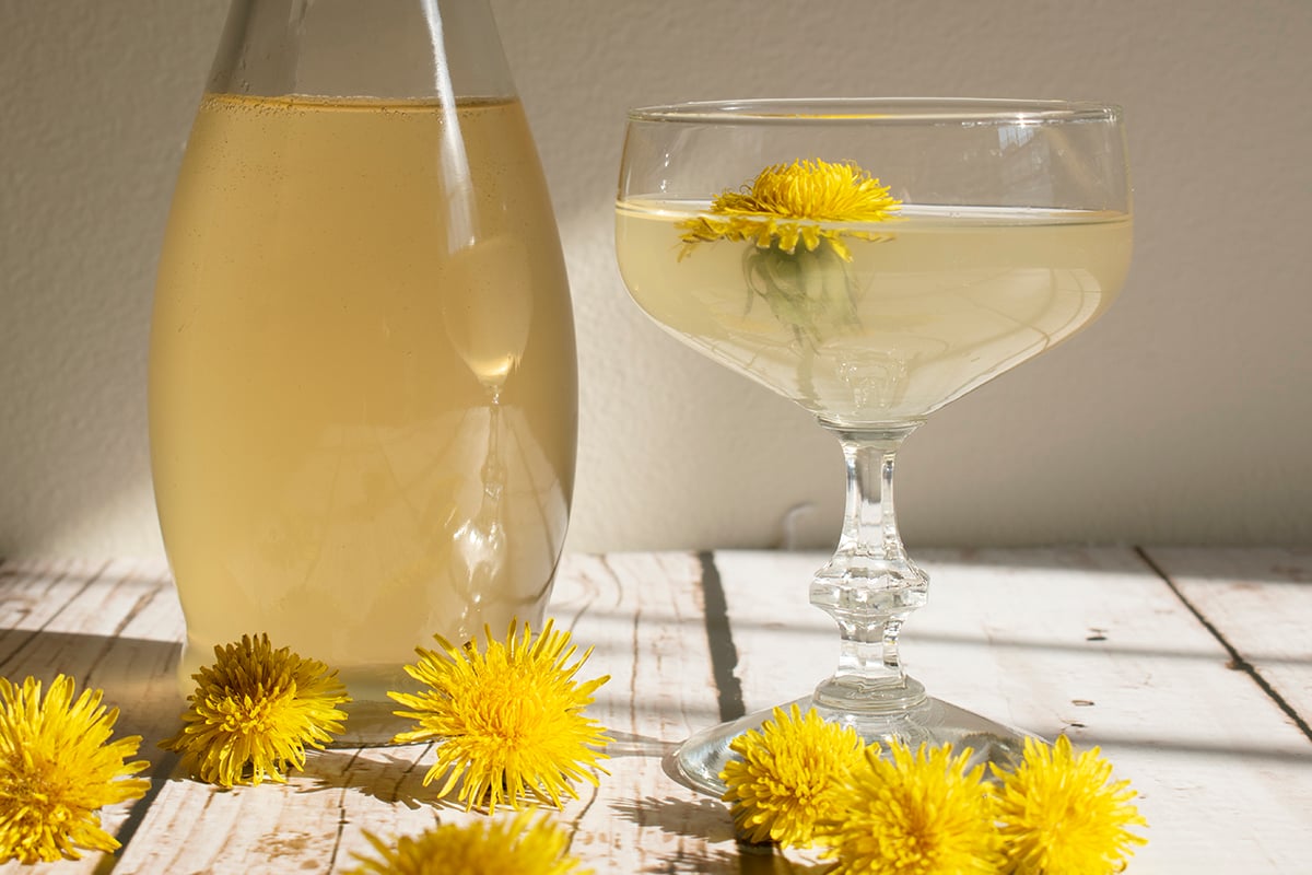 Delightful Dandelion Mead - Two Easy and Delicious Recipes