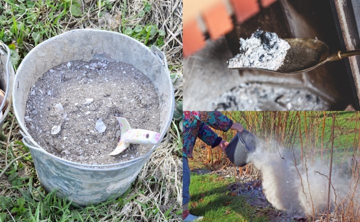 44 Practical Wood Ash Uses In The Home & Garden