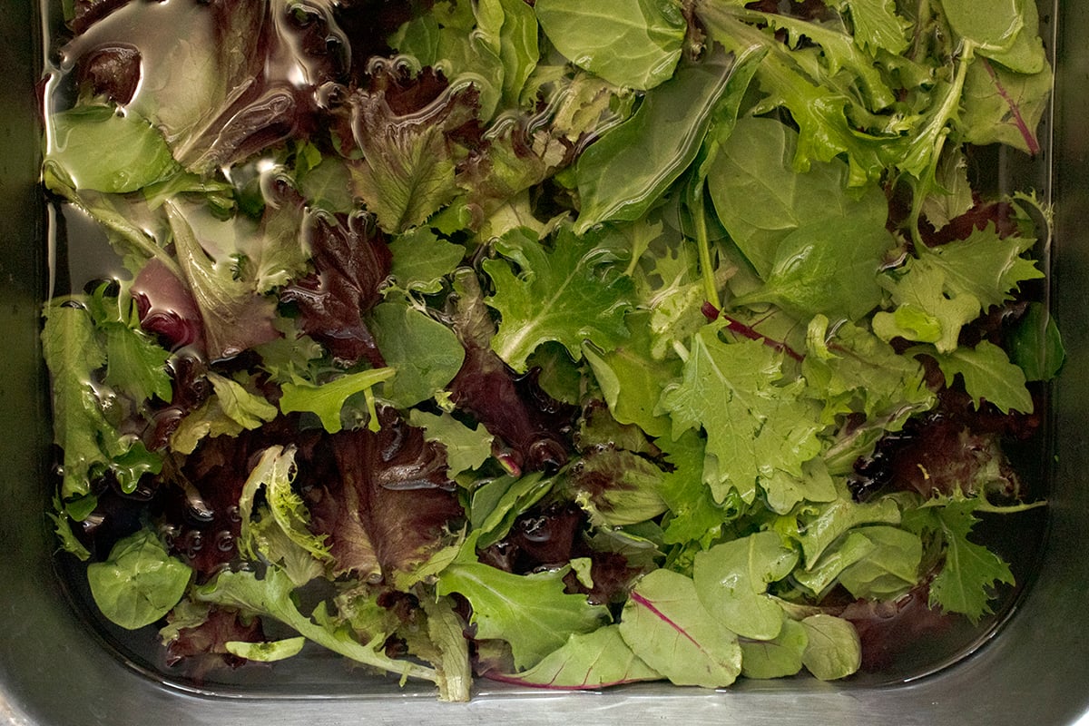 How To Store Salad Greens So They Last Two Weeks Or More