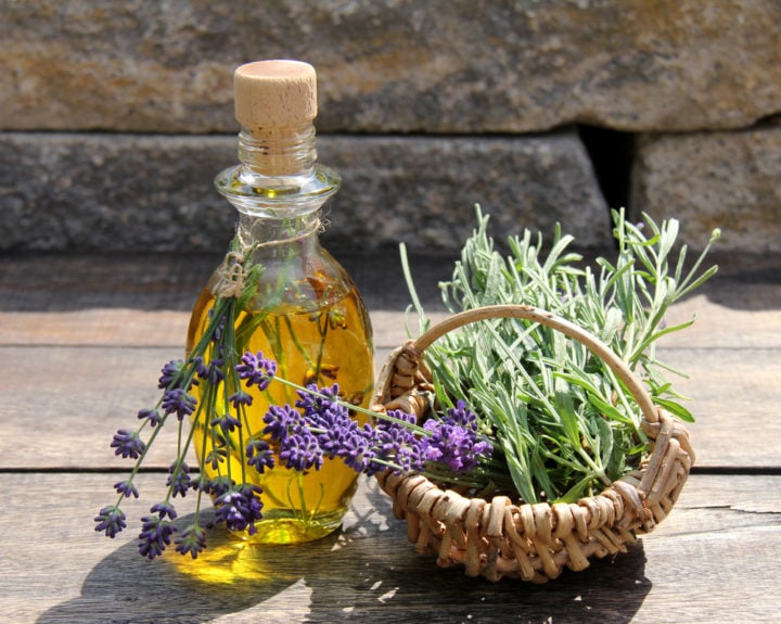 12 Ways to Use Lavender Around The Home & Garden