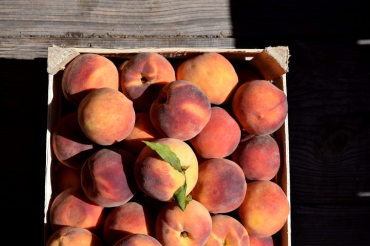 4 Tasty Ways To Preserve Peaches + Ripen Picked Peaches Fast
