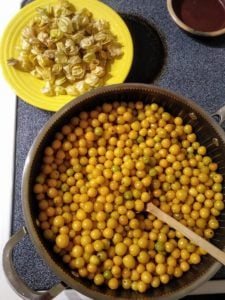 Homemade Ground Cherry Jam - No Pectin Required