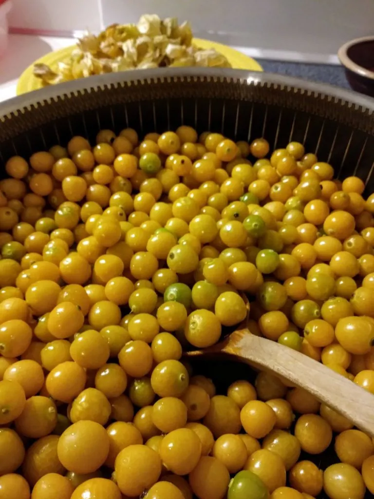Homemade Ground Cherry Jam - No Pectin Required