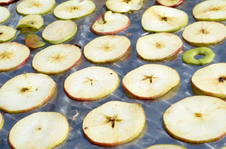 20 Best Ways To Preserve Apples by the Bucketload