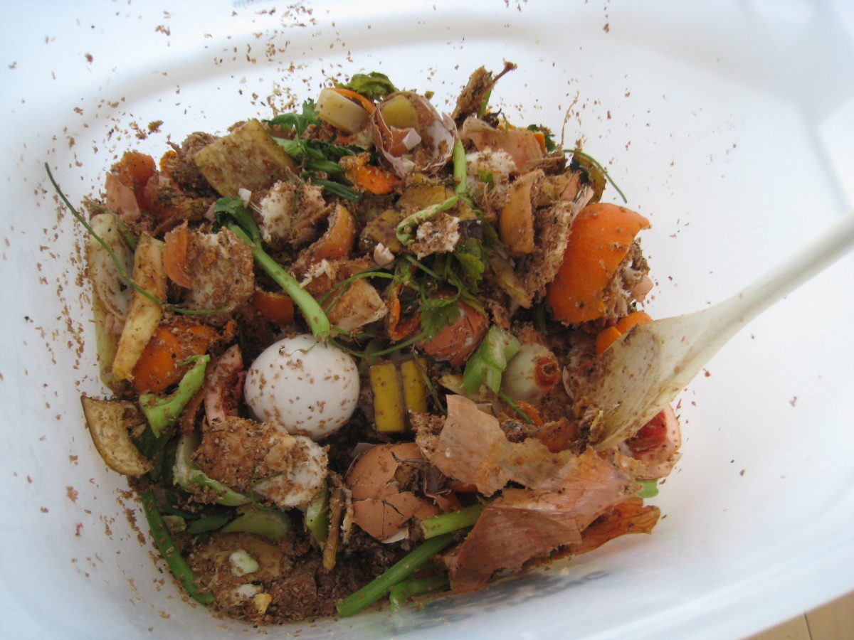 Bokashi Composting: Make Fermented Gold For Your Garden In Record Time