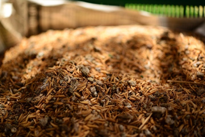 How To Compost Chicken Manure & Use It In The Garden