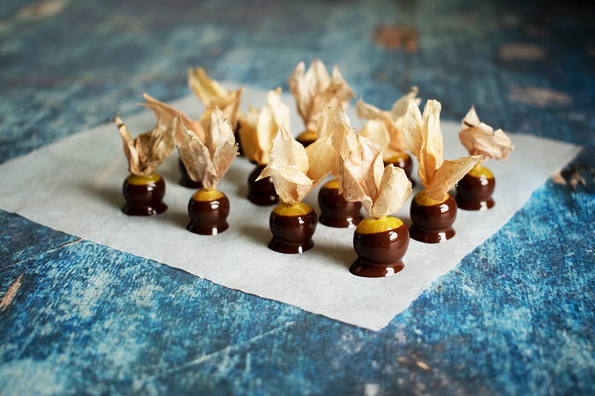 How To Grow Ground Cherries: 100s of Fruits Per Plant