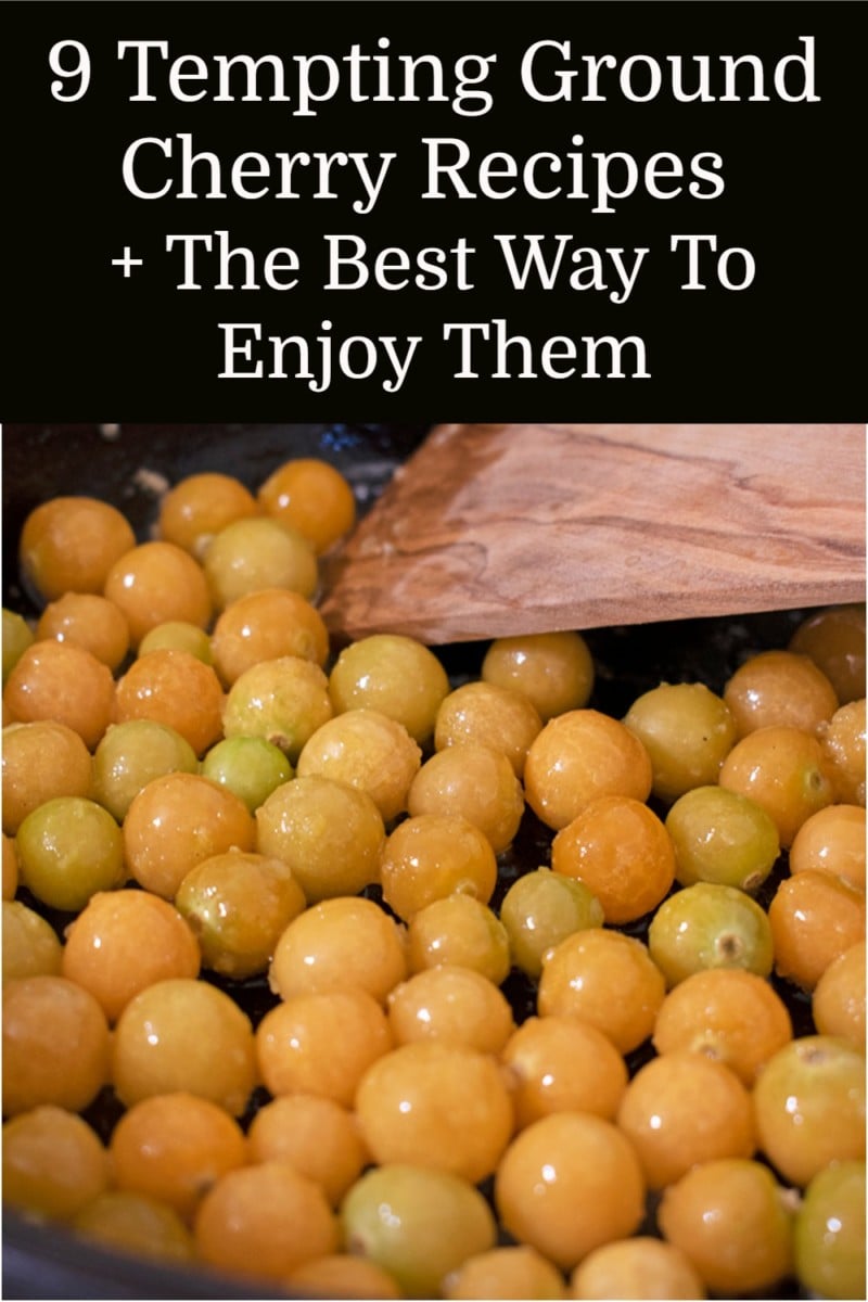 9 Tempting Ground Cherry Recipes + The Best Way To Enjoy Them