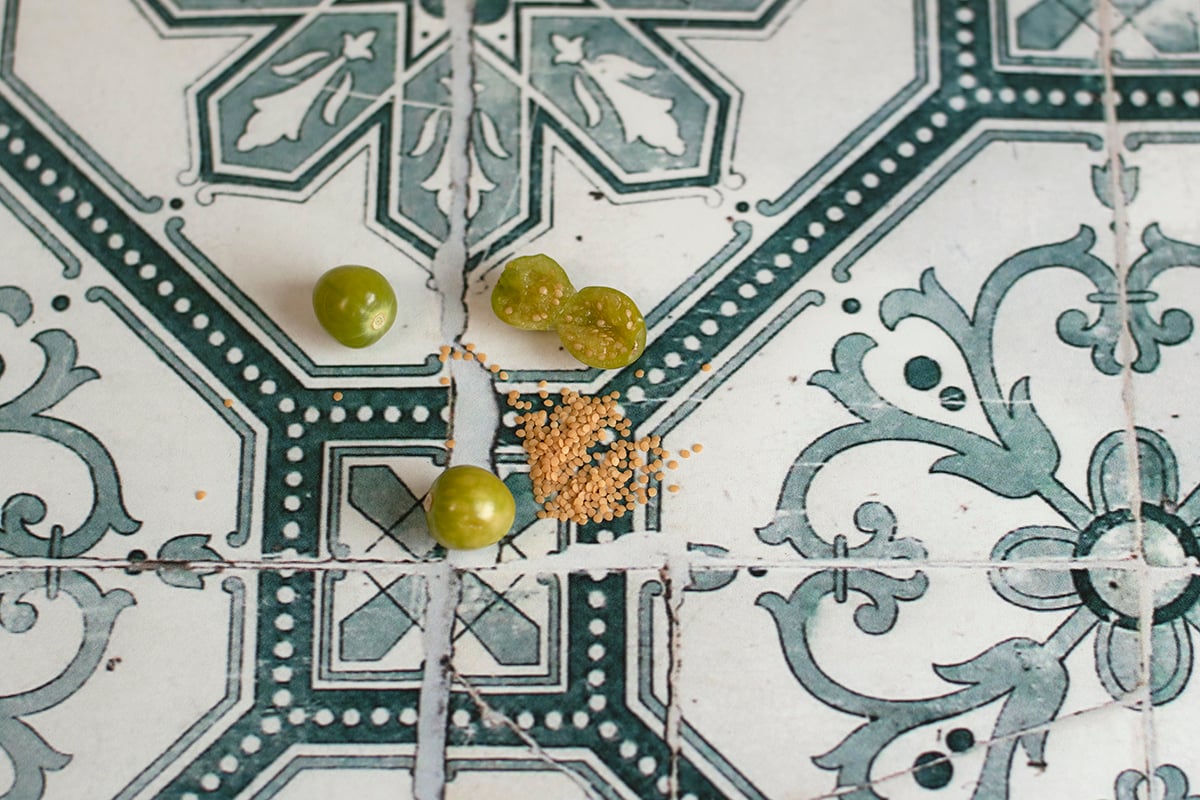 9 Tempting Ground Cherry Recipes + The Best Way To Enjoy Them