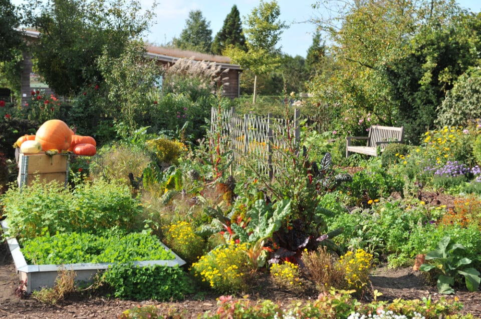 10 Jobs For The September Garden: Planting, Pruning, Preparing + More