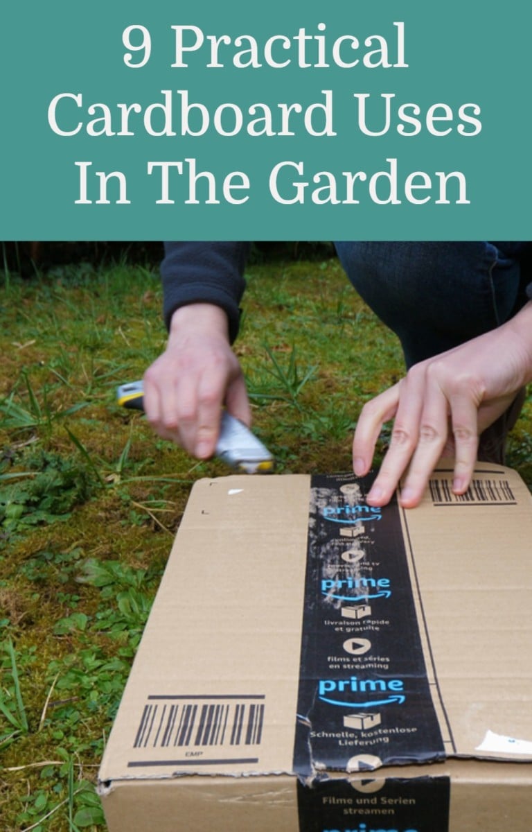 9 Practical Cardboard Uses In The Garden
