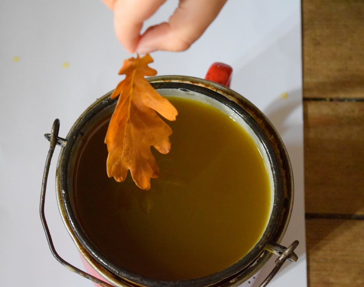 How To Make Leaf Mold: Turn Fallen Leaves Into Gardener's Gold