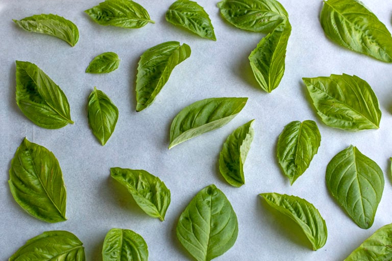 4 Ways To Freeze Basil - Including My Easy Basil Freezing Hack