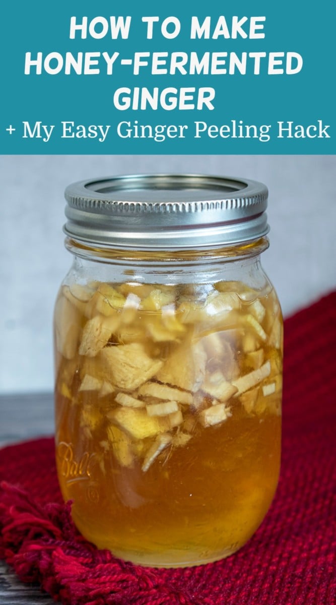How To Make Honey-Fermented Ginger + My Easy Ginger Peeling Hack