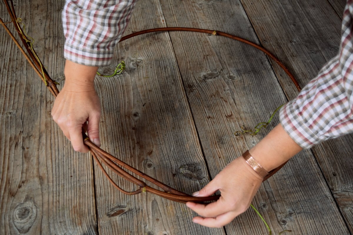How To Make A Grapevine Wreath (Or Any Other Vining Plant)