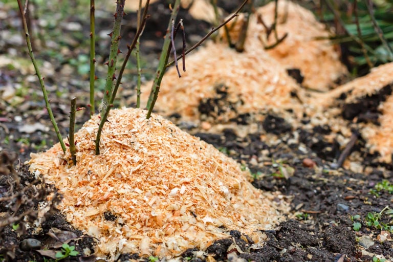 11 Smart Uses For Sawdust Around Your Home & Garden