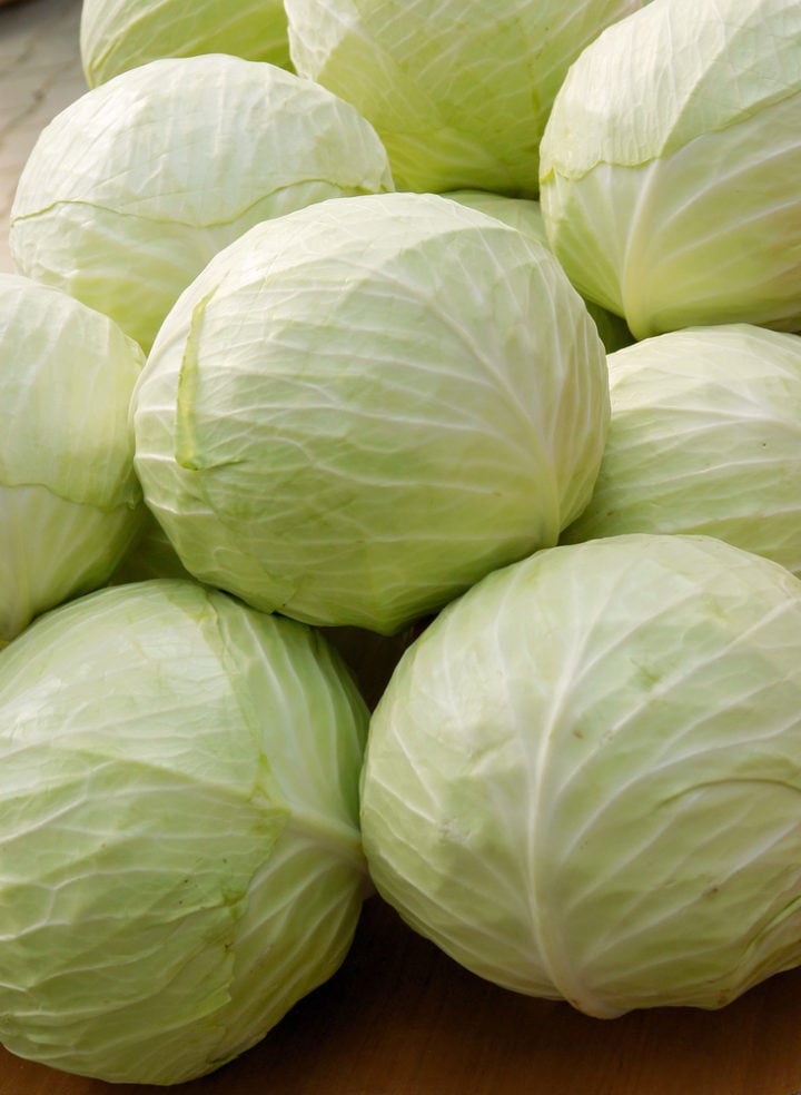 7 Ways To Store & Preserve Cabbage For 6+ Months