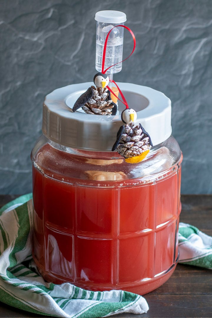 Sparkling Cranberry Orange Christmas Cider - It's So Easy