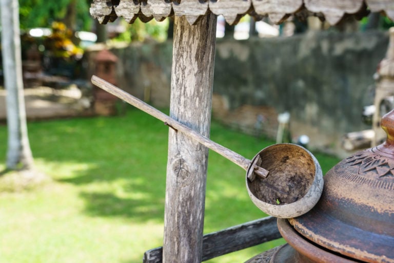 8 Genius Uses For Coconut Shells