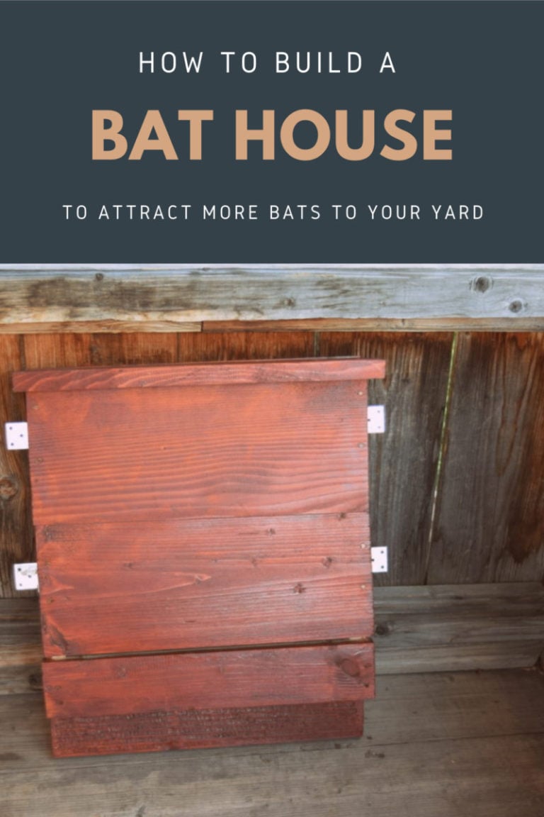 How To Build A Bat House To Attract More Bats To Your Yard