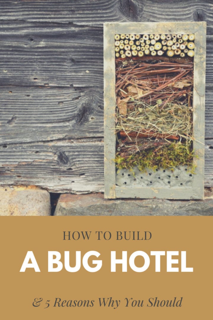 How To Build A Bug Hotel + 5 Reasons Why You Should