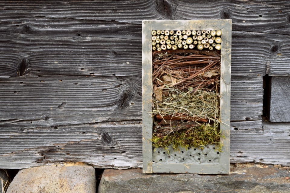 How To Build A Bug Hotel + 5 Reasons Why You Should