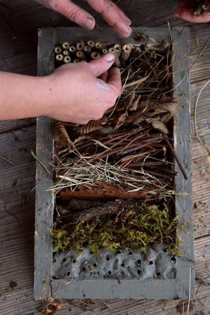 How To Build A Bug Hotel + 5 Reasons Why You Should