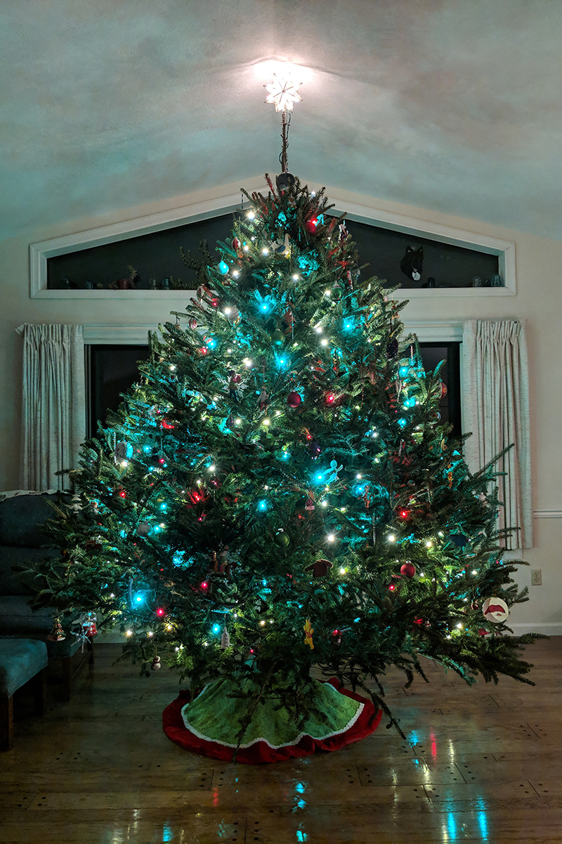 Real vs Fake - 9 Reasons To Choose A Real Christmas Tree This Year
