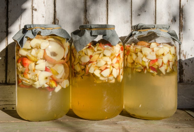 How To Ferment Almost Anything At Home (+10 Recipes To Get Started)