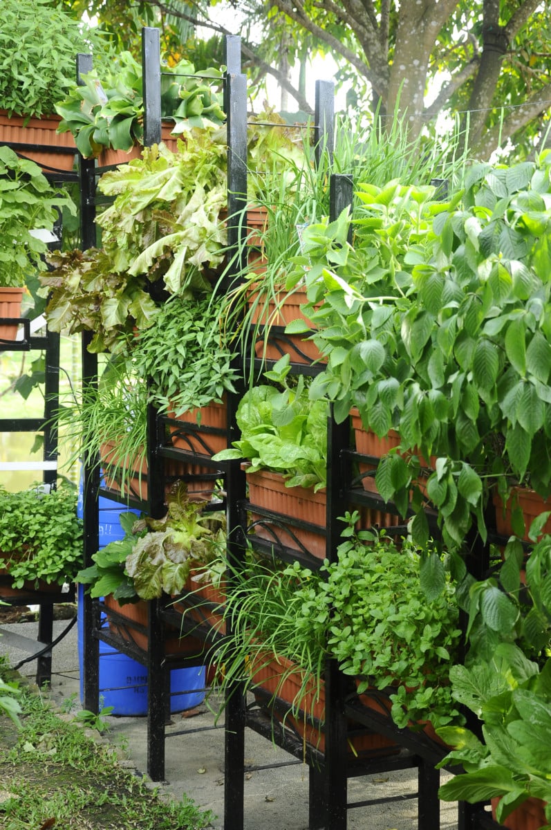 7 Vegetable Garden Layout Ideas To Grow More Food In Less Space