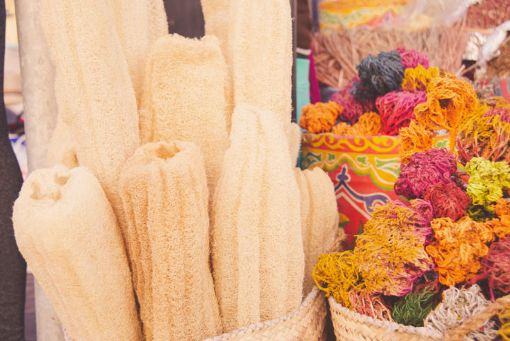 How To Grow Loofah Sponges & 9 Brilliant Ways To Use Them