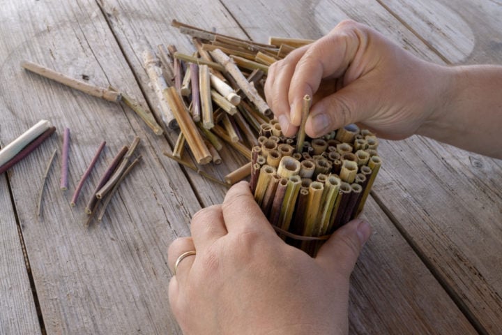 Is Your Bee Hotel Actually a Deathtrap?