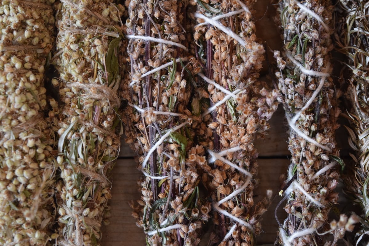 6 Reasons To Smudge Your Home + DIY Wild-foraged Smudge Sticks