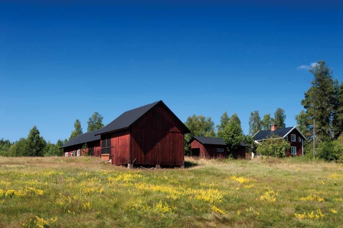 12 Tips for Buying Remote Land & 15 Questions to Ask Before You Do