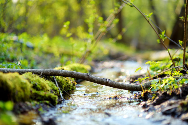 12 Tips for Buying Remote Land & 15 Questions to Ask Before You Do