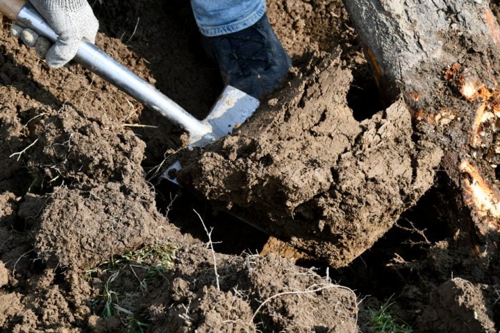 How To Completely Remove a Tree Stump By Hand